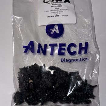 LOVE ANIMAL HOSPITAL AND URGENT CARE - Updated April 2025 - 33 Photos ...