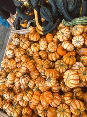 WEBER’S FARM - Updated October 2025 - 302 Photos - 167 Reviews - 2526 ...