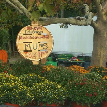 SAMAHA’S COUNTRY FARM MARKET - Updated January 2025 - 51 Photos & 36 ...