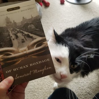 COPPER CAT BOOKS - Updated June 2025 - 152 Photos & 74 Reviews - 1570 W ...