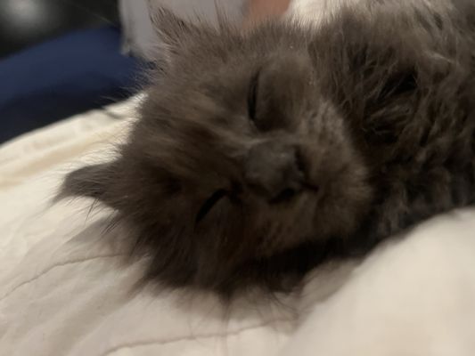 TURNAROUND RESTAURANT - Updated December 2025 - 18 Photos & 18 Reviews ...