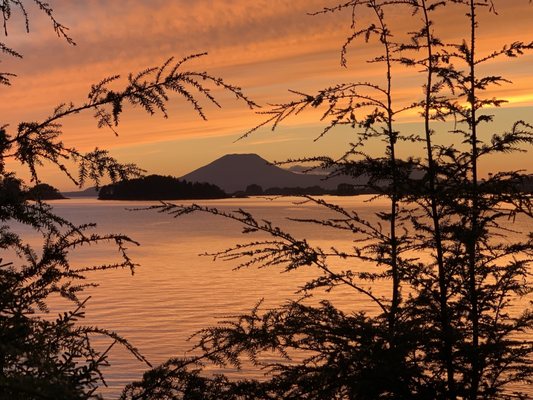 DOVE ISLAND LODGE - Updated May 2026 - 28 Photos - Sitka, Alaska - Bed ...