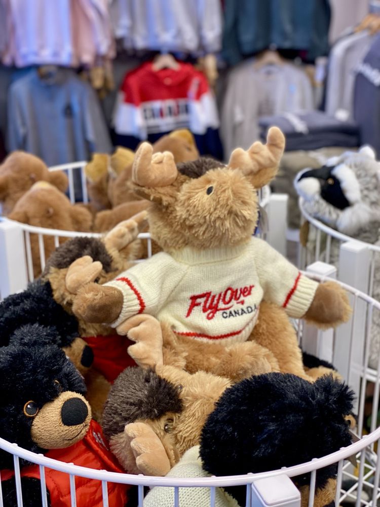 FLYOVER CANADA - Updated January 2026 - 109 Photos & 249 Reviews - 999 ...