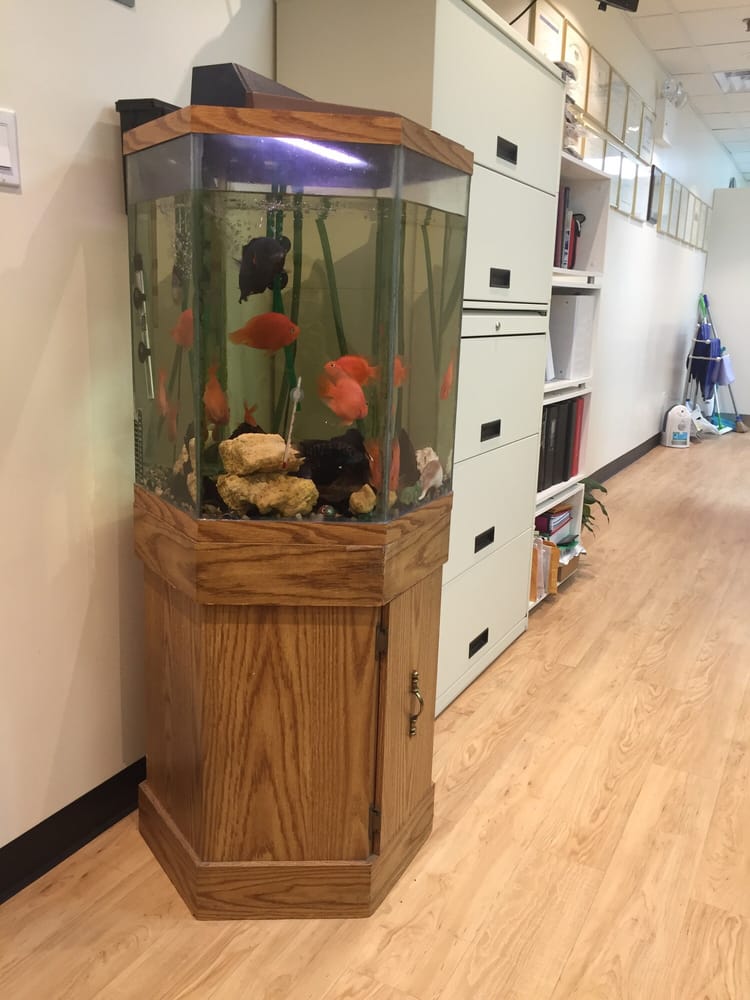 IVAN T LEE, DDS - Updated September 2025 - 14 Reviews - 7 Chatham ...