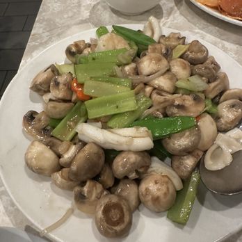 JADE FOUNTAIN CAFE - Updated July 2025 - 876 Photos & 390 Reviews ...