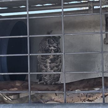 FOREVER WILD EXOTIC ANIMAL SANCTUARY - 577 Photos & 329 Reviews - 8545 ...