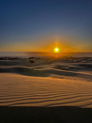 OCEANO DUNES STATE VEHICULAR RECREATION AREA - 597 Photos & 183 Reviews ...