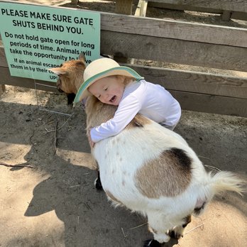 SMILING HILL FARM - Updated July 2024 - 155 Photos & 62 Reviews - 781 ...