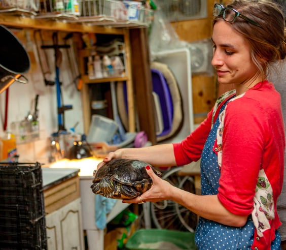 SOCIAL TEES ANIMAL RESCUE - Updated October 2025 - 64 Photos & 170 ...