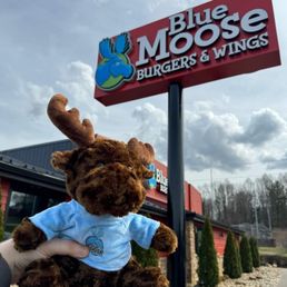 BLUE MOOSE BURGERS & WINGS - Updated July 2025 - 50 Photos & 48 Reviews ...
