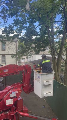 FRIENDLY TREE SERVICE - Updated April 2025 - 24 Photos & 170 Reviews ...