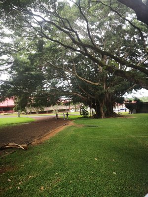 UNIVERSITY OF HAWAII AT HILO - Updated August 2025 - 27 Photos & 13 ...