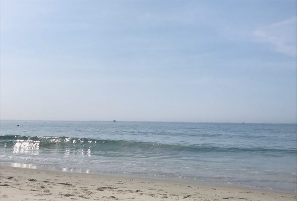 SALTY BRINE STATE BEACH - 50 Photos & 29 Reviews - 254 Great Rd ...