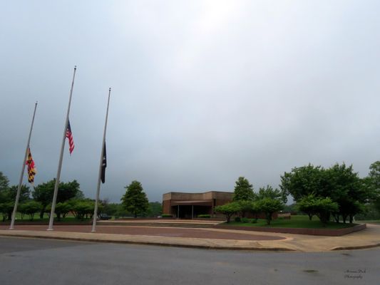 CHELTENHAM VETERANS CEMETERY - Updated January 2026 - 28 Photos - 11301 ...