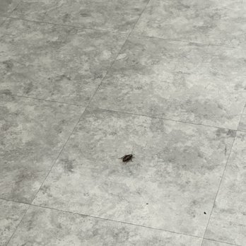 WALGREENS - Updated December 2025 - 25 Photos & 97 Reviews - 1826 W ...