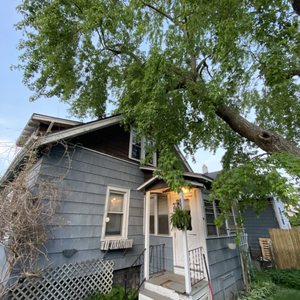 NATIVE AMERICAN TREE EXPERTS INC - Updated November 2025 - 143 Fellows ...