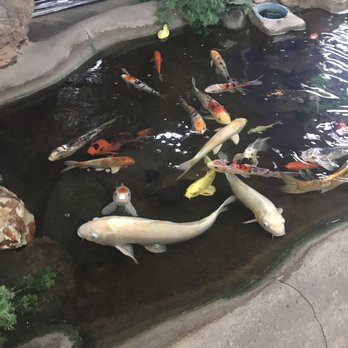 THE OCEAN FLOOR - 110 Photos & 163 Reviews - 2347 W Thomas Rd, Phoenix ...