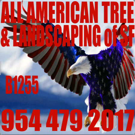 ALL AMERICAN TREE SERVICES & LANDSCAPING OF SOUTH FLORIDA - Updated ...