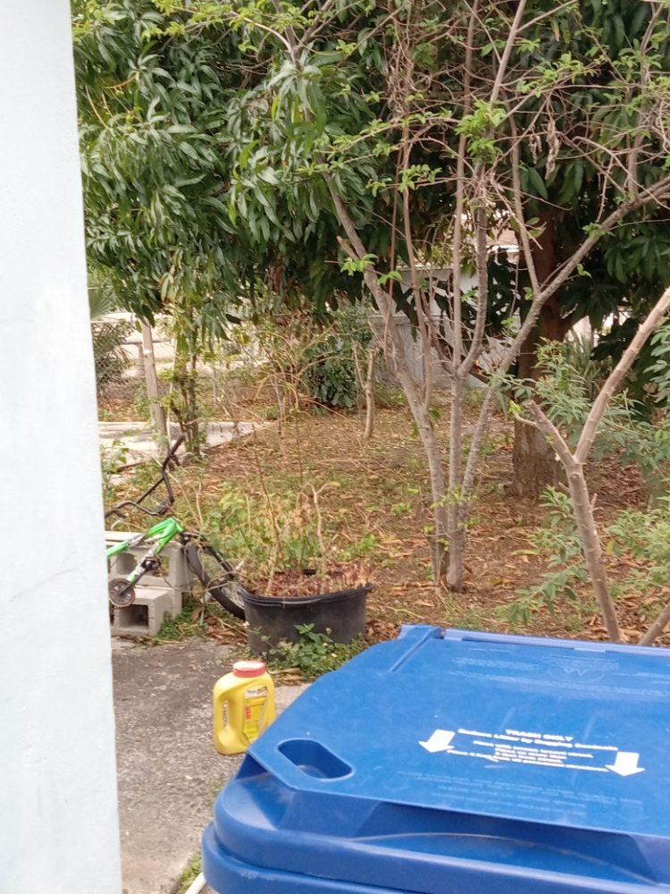 SMITH ADVANCE LANDSCAPE - Updated September 2024 - Request a Quote - 17 ...