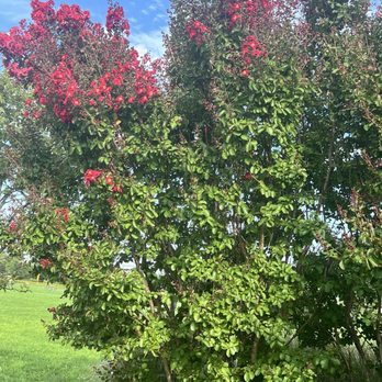 HEUSER PARK - Updated November 2025 - 11 Photos - 694 West Beidler Rd ...