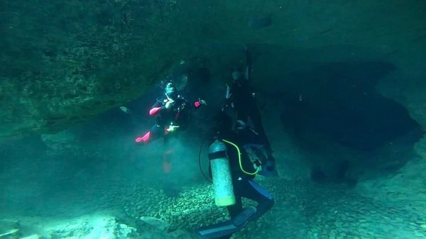 VIKING DIVING - Updated August 2025 - 11 Photos - 3009 Barrancas Ave ...