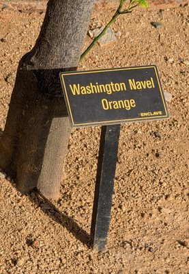 THE ENCLAVE - Updated December 2025 - 546 Photos & 99 Reviews - 970-990 ...