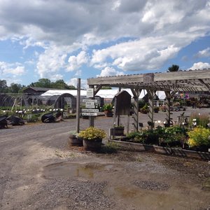 ITHACA AGWAY & TRUE VALUE - Updated August 2025 - 13 Reviews - 213 S ...