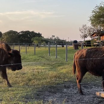 WESTGATE RIVER RANCH RESORT & RODEO - Updated December 2025 - 758 ...