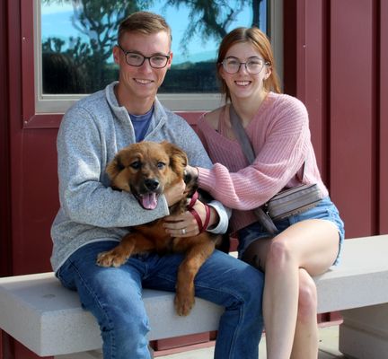 YUCCA VALLEY ANIMAL SHELTER - Updated October 2025 - 153 Photos - 4755 ...