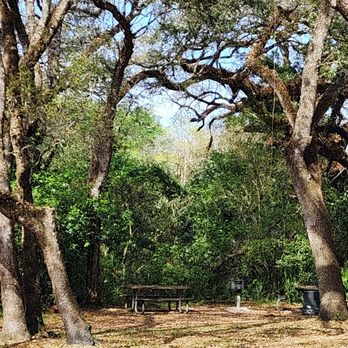 TREE TOPS PARK - Updated September 2025 - 822 Photos & 132 Reviews ...