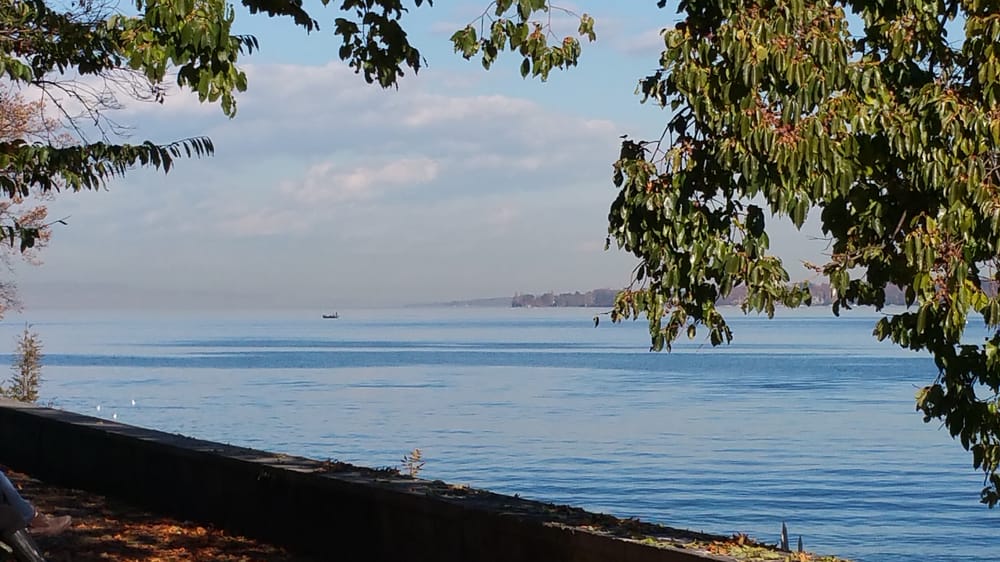 PARC MON REPOS & PARC BATON - 36 Photos - Rue de Lausanne, Genève ...