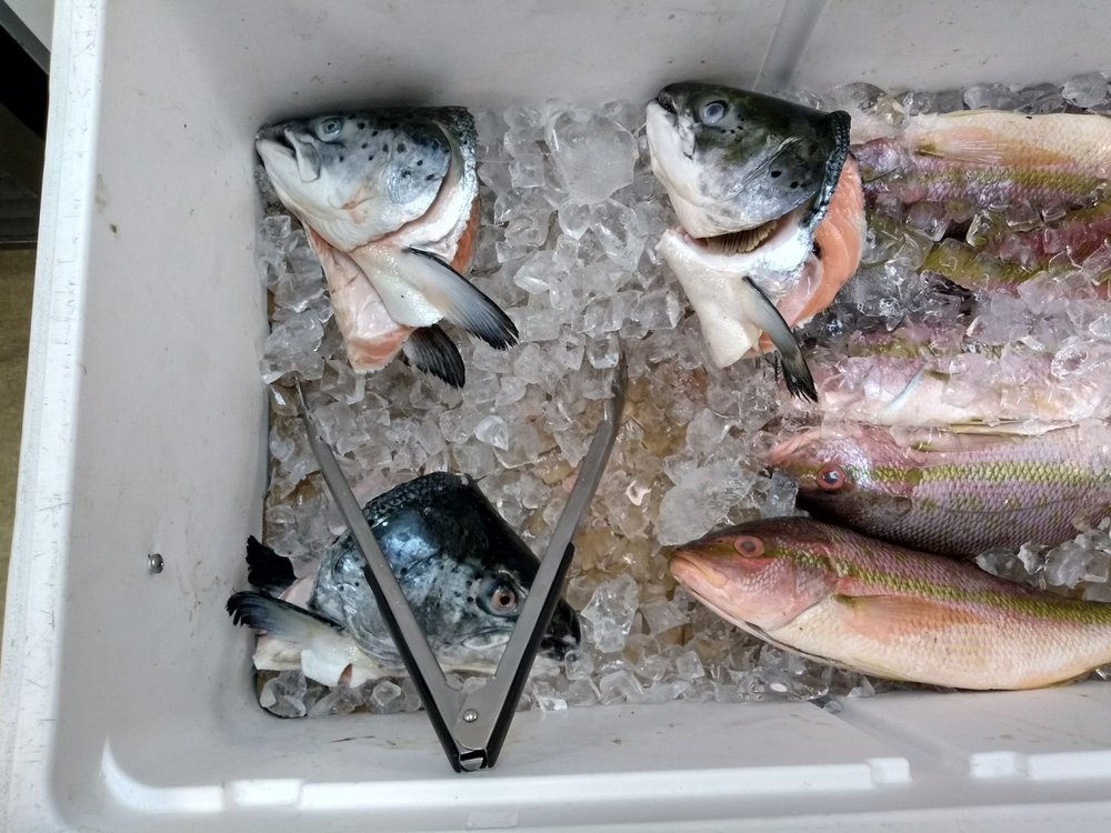 CHUN CHING MARKET - 44 Photos & 46 Reviews - International Grocery ...