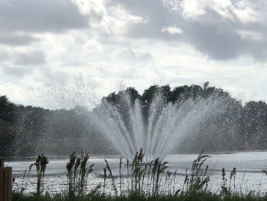 CENTRAL BROWARD REGIONAL PARK - Updated September 2025 - 93 Photos & 16 ...