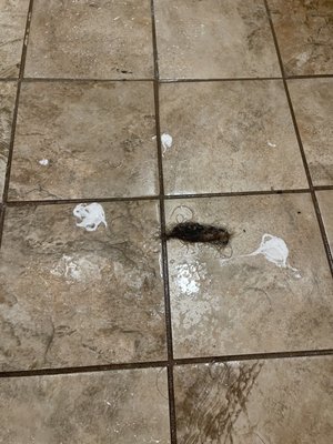 EAGLE TREE RV PARK - Updated September 2025 - 20 Photos & 33 Reviews ...