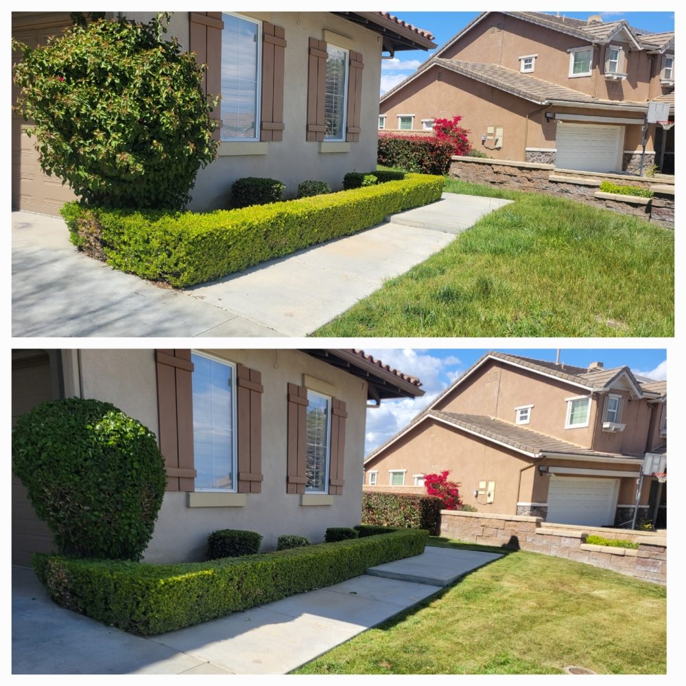 JC LAWN & GARDEN - Updated October 2025 - 18 Photos - Pomona ...