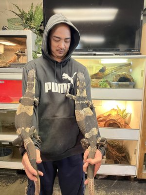 JTK REPTILES - Updated October 2024 - 1885 Photos & 184 Reviews - 916 E ...