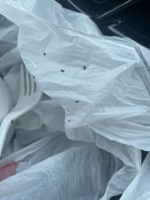 SHERMAN’S CHINESE BUFFET - Updated June 2024 - 239 Photos & 109 Reviews ...