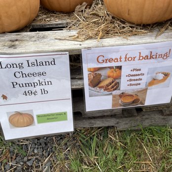 STYER ORCHARD - Updated November 2025 - 90 Photos & 60 Reviews - 97 ...