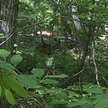 BREAKHEART RESERVATION - Updated December 2025 - 223 Photos & 107 ...