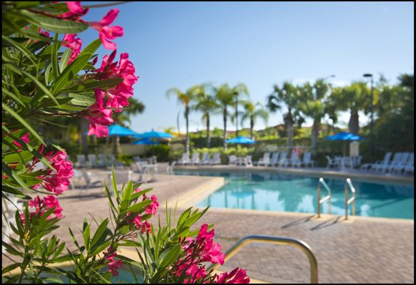 CARIBE COVE - Updated December 2025 - 81 Photos & 48 Reviews - 9000 ...