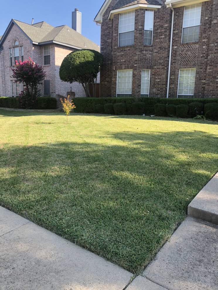 RAMOS LANDSCAPING - Updated June 2026 - Request a Quote - Dallas, Texas ...