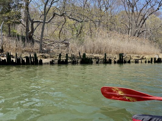 NISSEQUOGUE RIVER CANOE & KAYAK RENTALS - Updated April 2025 - 77 ...