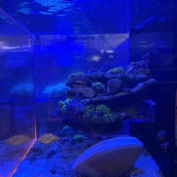 CK FISH WORLD - 401 Photos & 428 Reviews - 541 North Azusa Ave, West ...