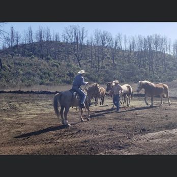 R-RANCH AT THE LAKE - 52 Photos & 32 Reviews - 1962 Capell Valley Rd ...