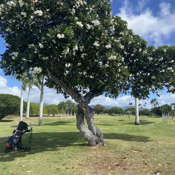 NAVY MARINE GOLF COURSE - Updated December 2025 - 128 Photos & 74 ...