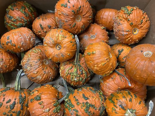 ITALIAN CENTRE SHOP - Updated October 2025 - 109 Photos & 65 Reviews ...