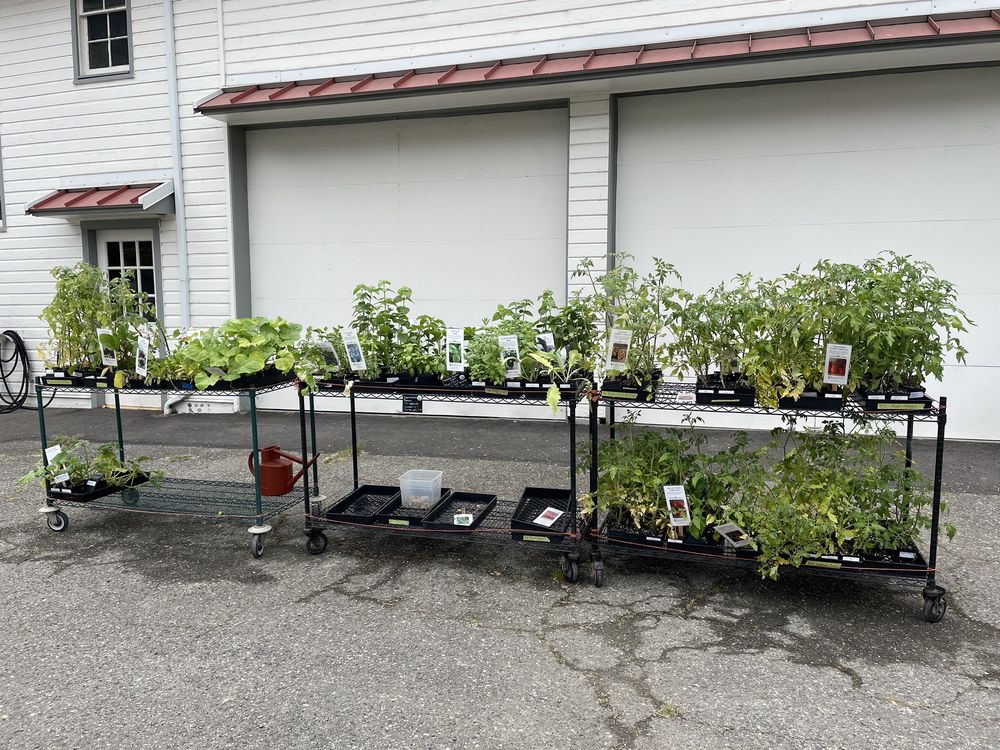 CARNATION FARMS - Updated July 2025 - 93 Photos & 40 Reviews - 28901 NE ...