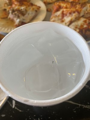 NEW YORK PIZZERIA - Updated January 2026 - 56 Photos & 213 Reviews ...