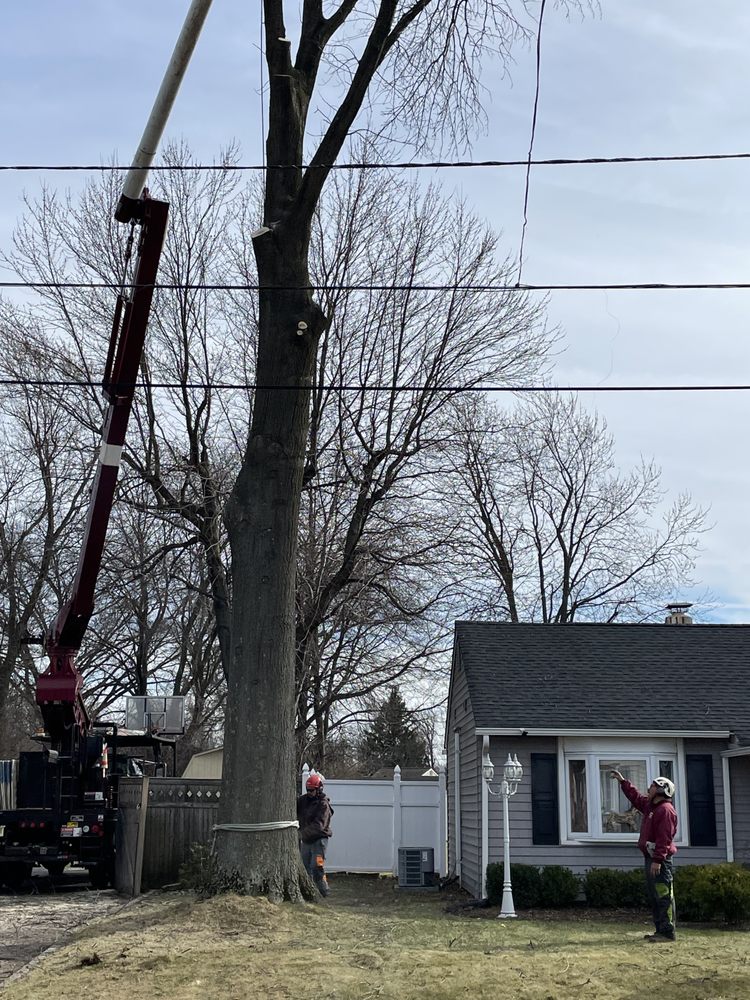 RARITAN VALLEY TREE SERVICE - Updated September 2025 - 32 Reviews - 509 ...