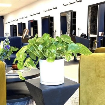 CITY GROWS - Updated June 2025 - 52 Photos & 29 Reviews - 5208 Butler ...